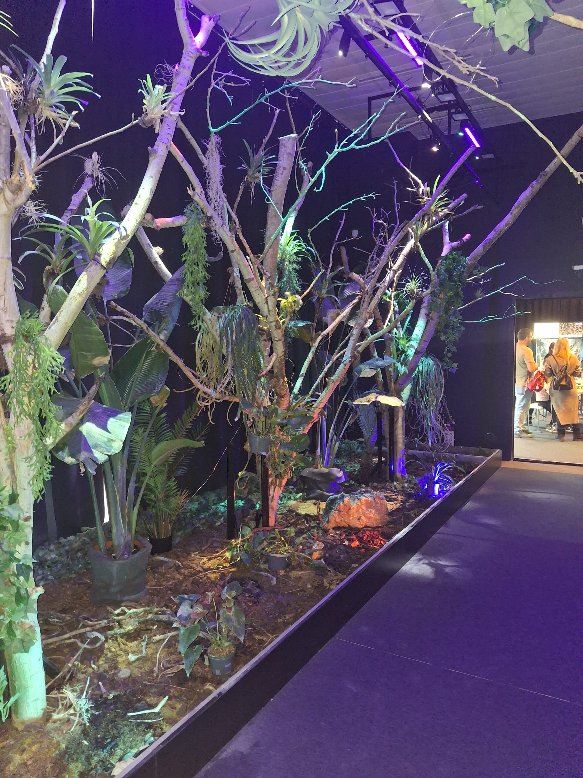 ALIVE REPTILES EXHIBIT AT REPTILAND BUCHAREST - Bucharest Travel Guide